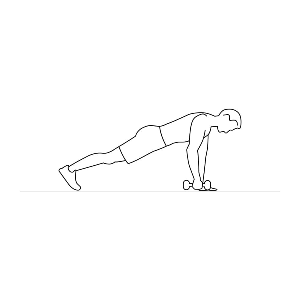 Dumbbell Plank Row Workout Stockhype
